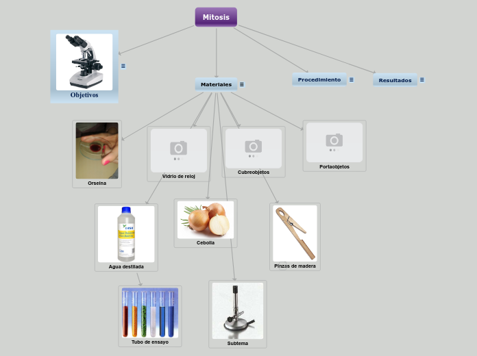 Mitosis - Mind Map